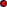 PWN is not online. Last active: 03/08/2026 05:50:38 PM